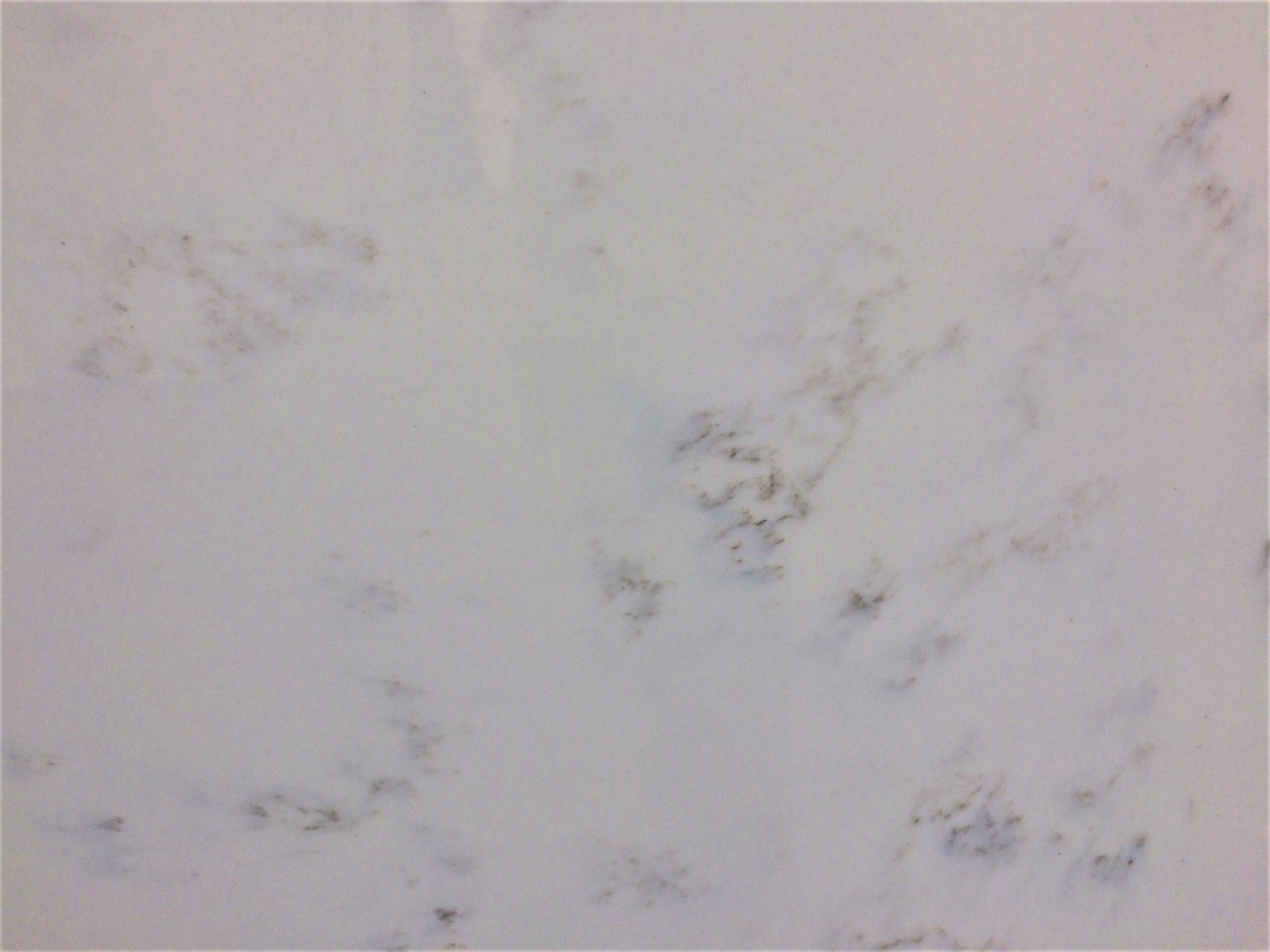Quartz Slabs - Worldwide Stones
